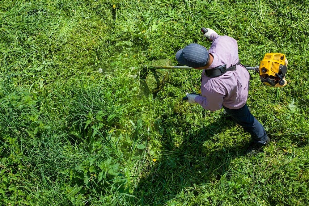 Streamlining Landscaping Projects with ASAP Marketplace